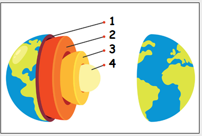 Blog do Prof. Warles: QUIZ 12: CIÊNCIAS 6° Ano